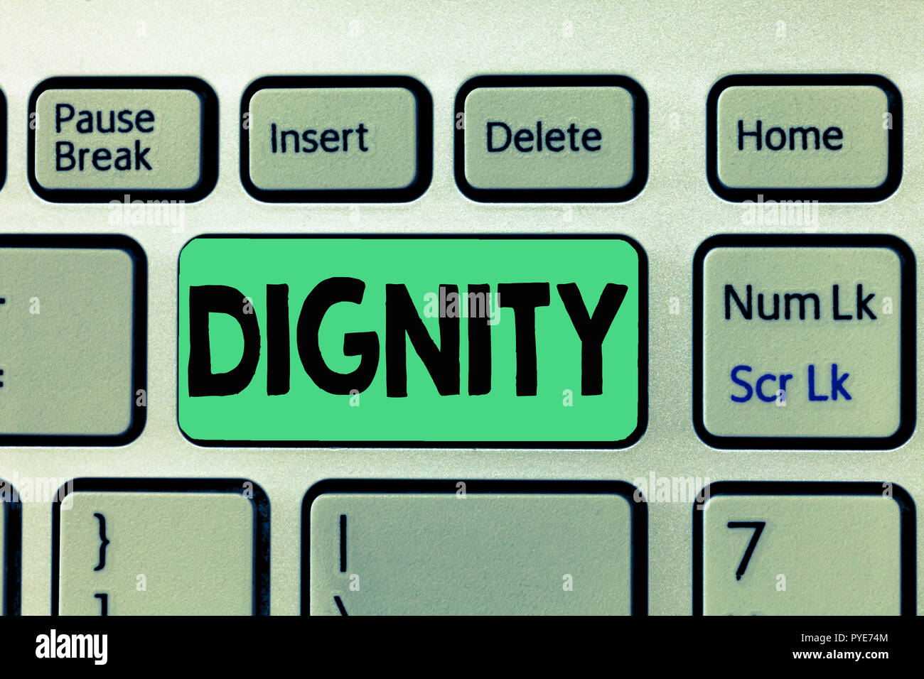 Handwriting text writing Dignity. Concept meaning Quality Being worthy ...