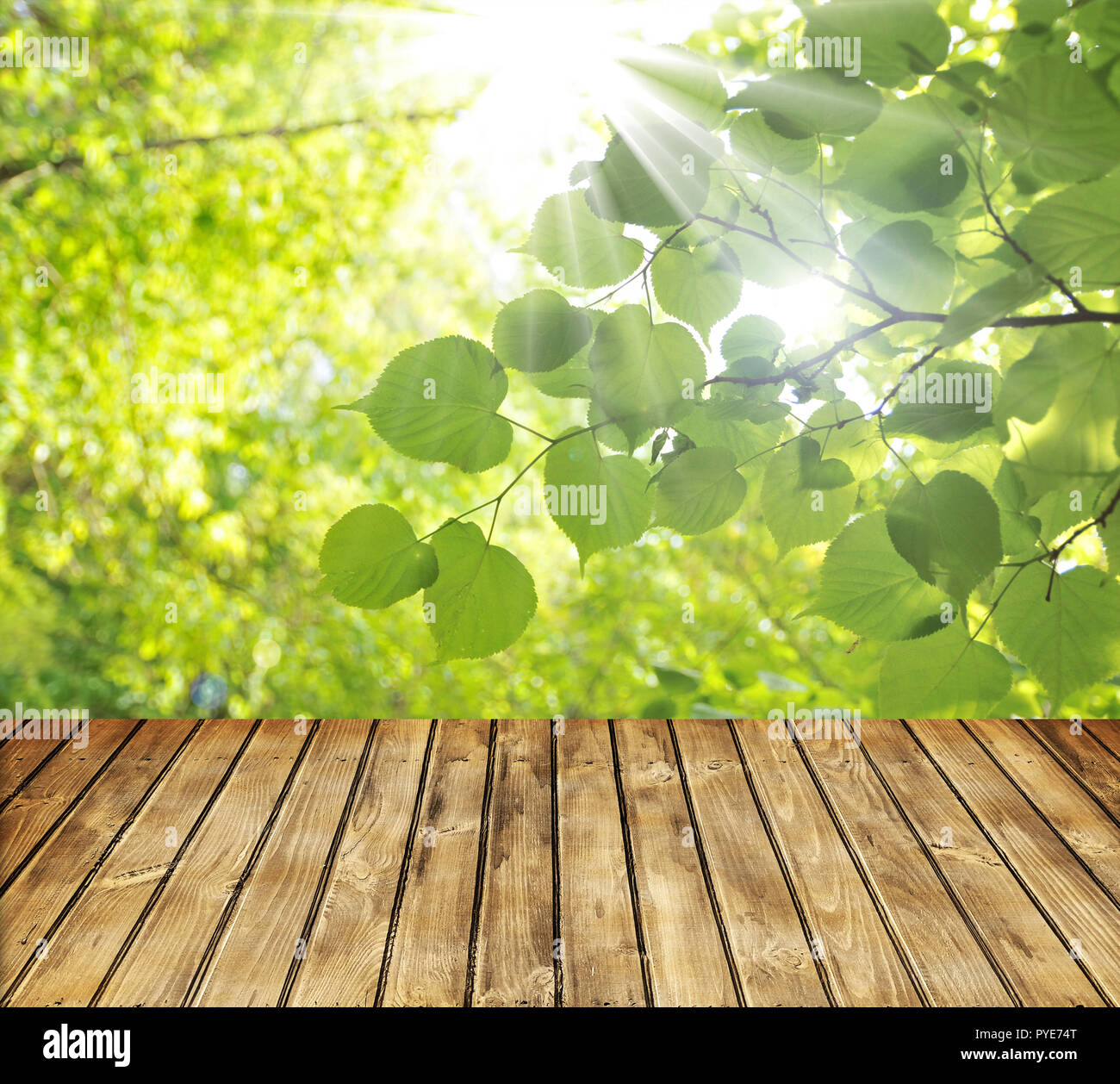 Empty wooden table and green spring leaves in background Stock Photo ...