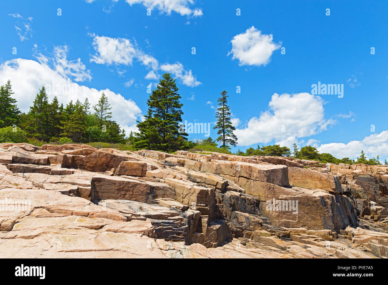 Public summer park under sunshine hi-res stock photography and images ...