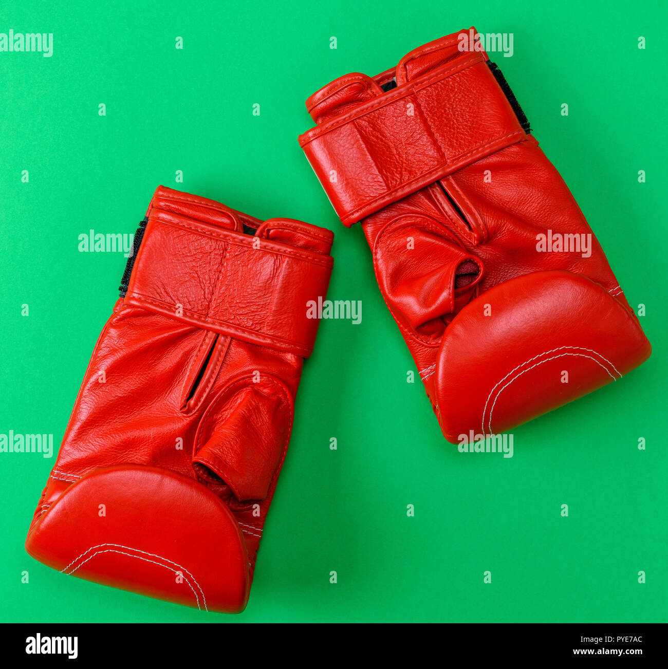 pair of sport leather leather boxing gloves on a green background Stock ...