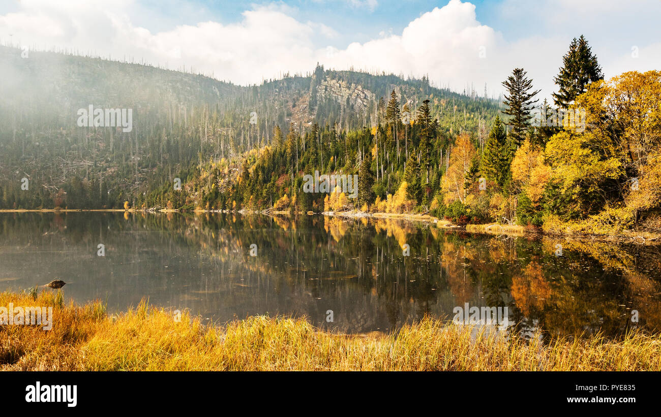 Plesne lake in Sumava national park (Bohemian Forest) in autumn. Czech ...