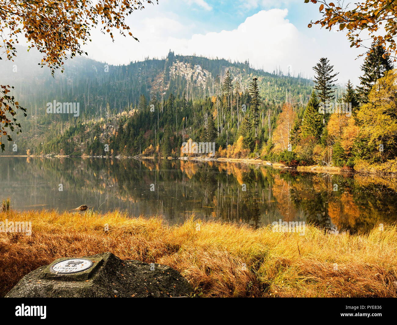Sumava national park hi-res stock photography and images - Alamy