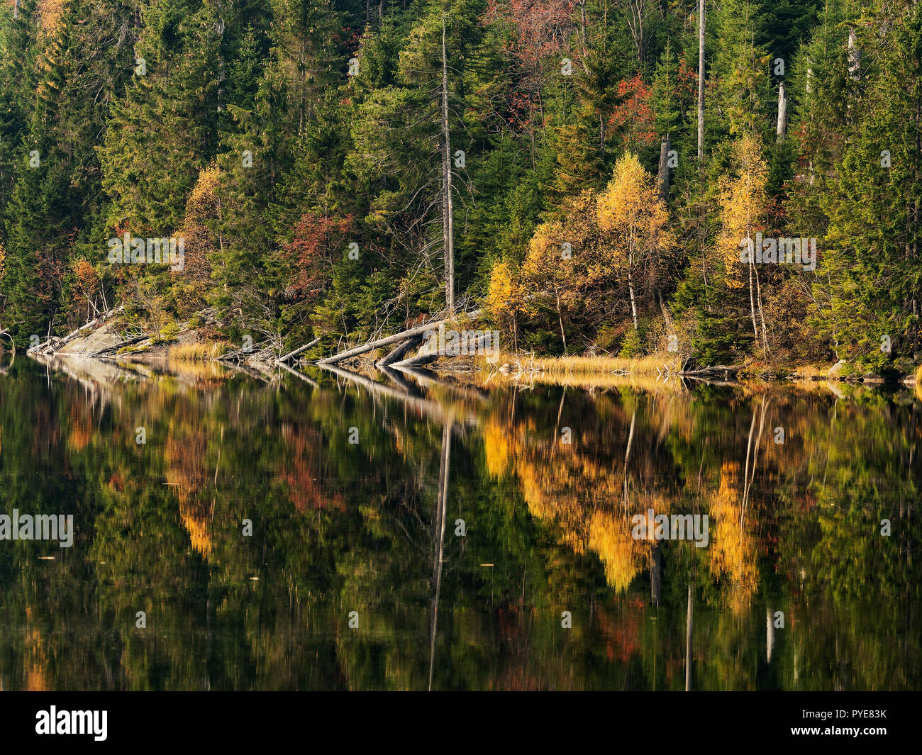 Sumava mountains hi-res stock photography and images - Alamy