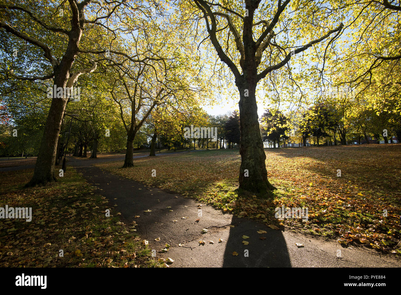 Autumn morning light at the Forest Recreation Ground in Nottingham ...