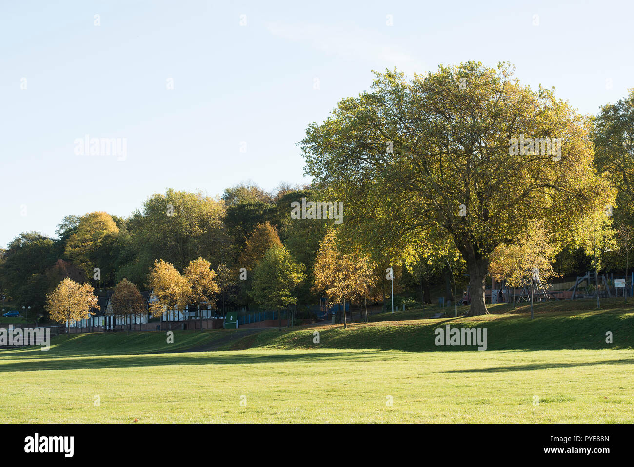 Autumn morning light at the Forest Recreation Ground in Nottingham ...