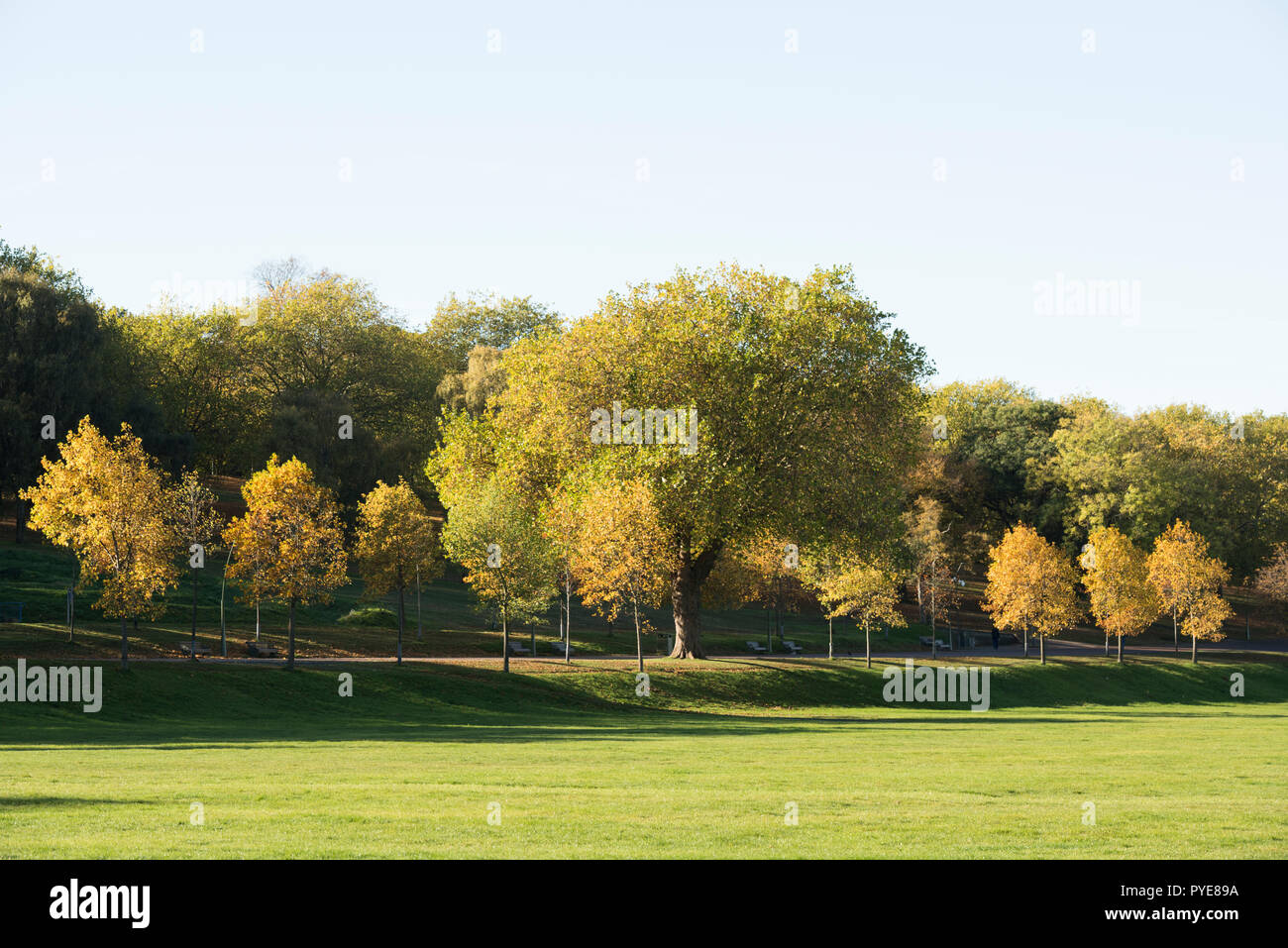 Forest recreation ground nottingham england hi-res stock photography ...