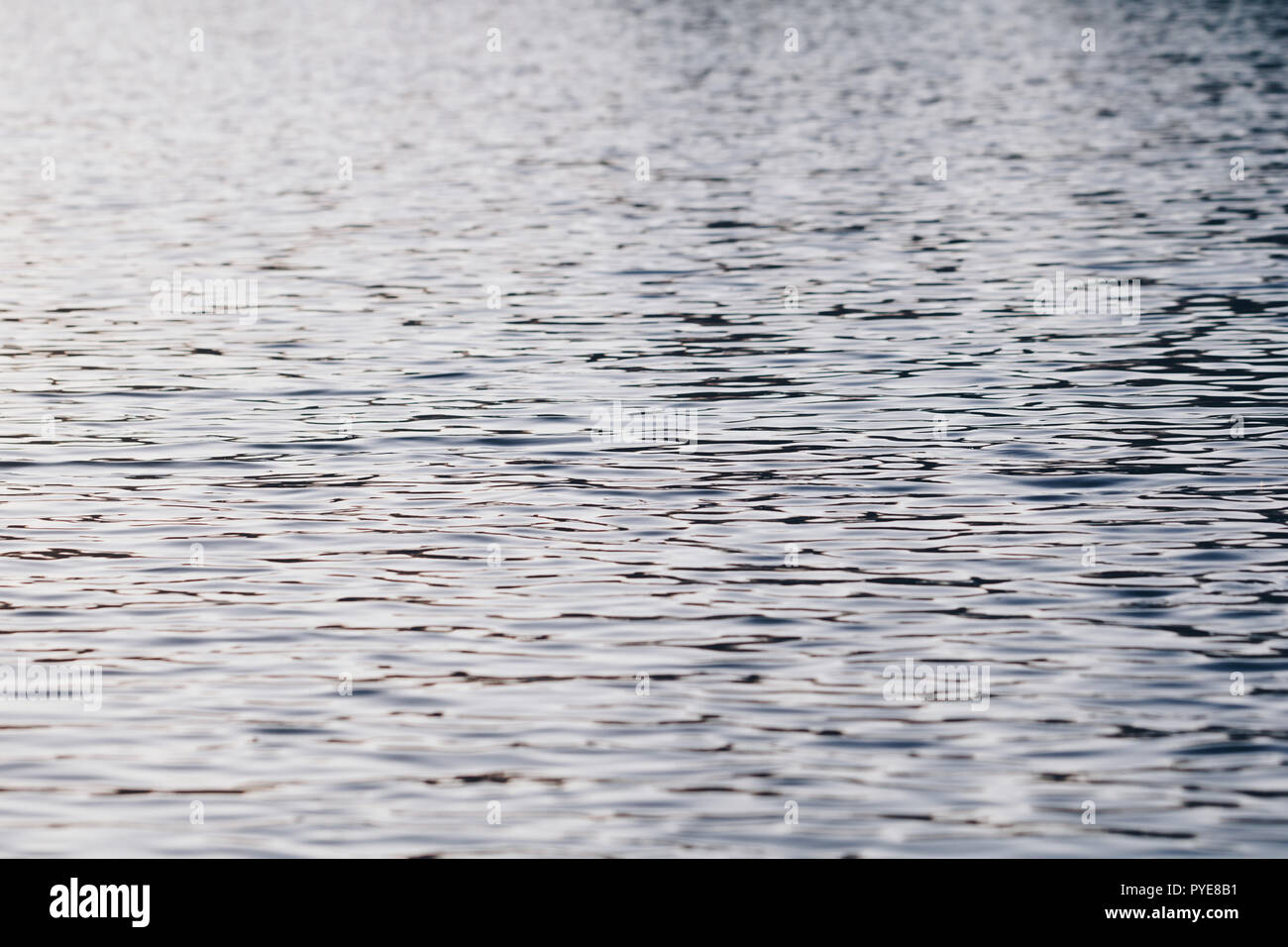 Calm water river background with reflection at sunset Stock Photo - Alamy