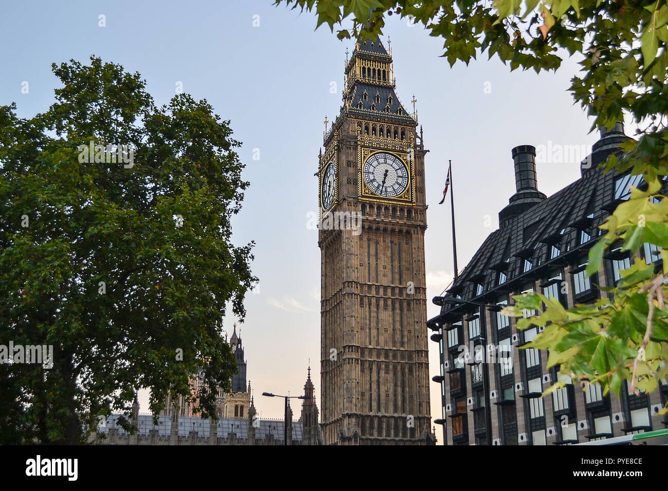 View of Big Ben from behind the trees. United Kingdom Stock Photo - Alamy