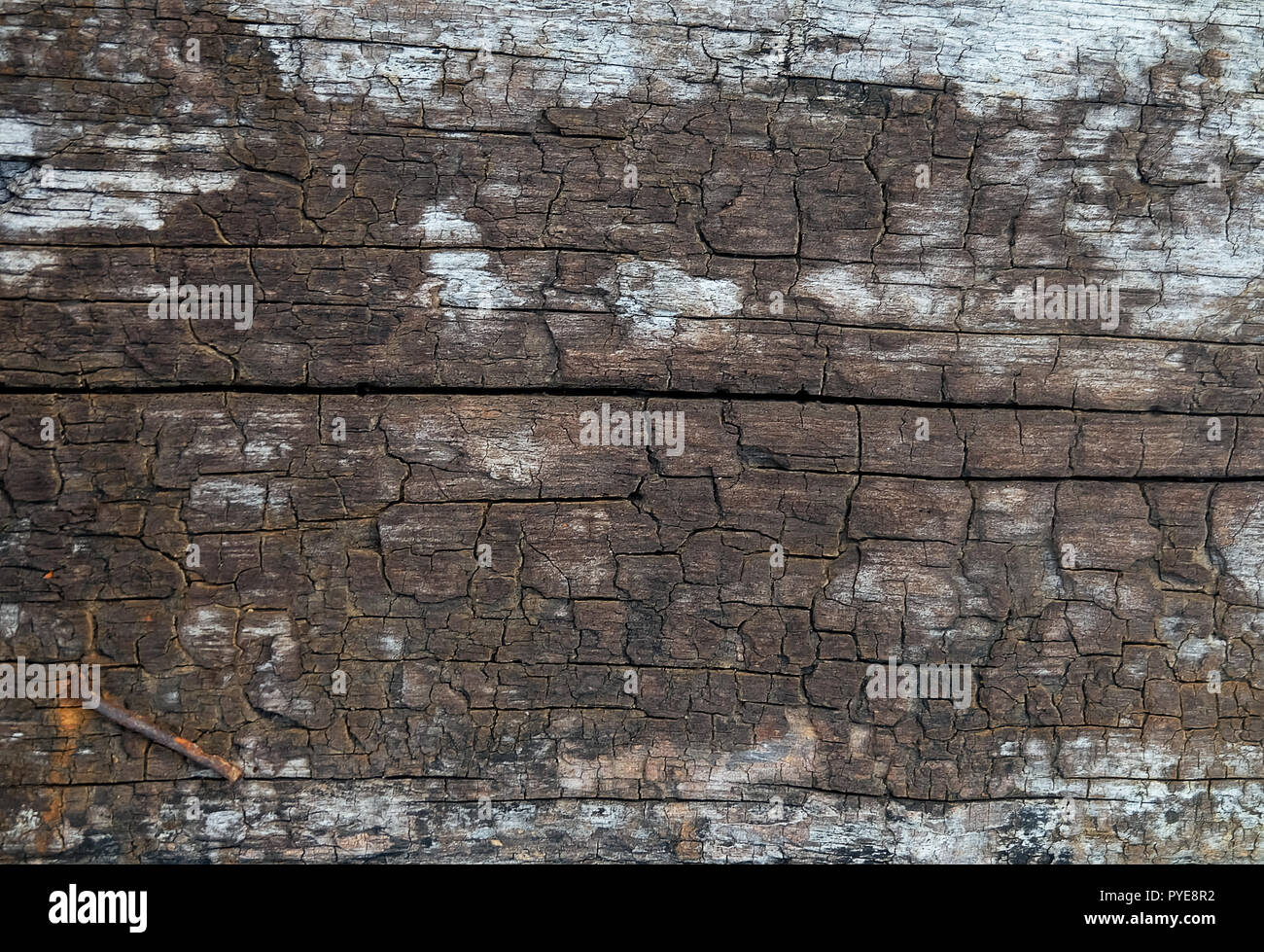 Background Pattern, Horizontal Brown Wooden Grain with Old Rusty Nail ...