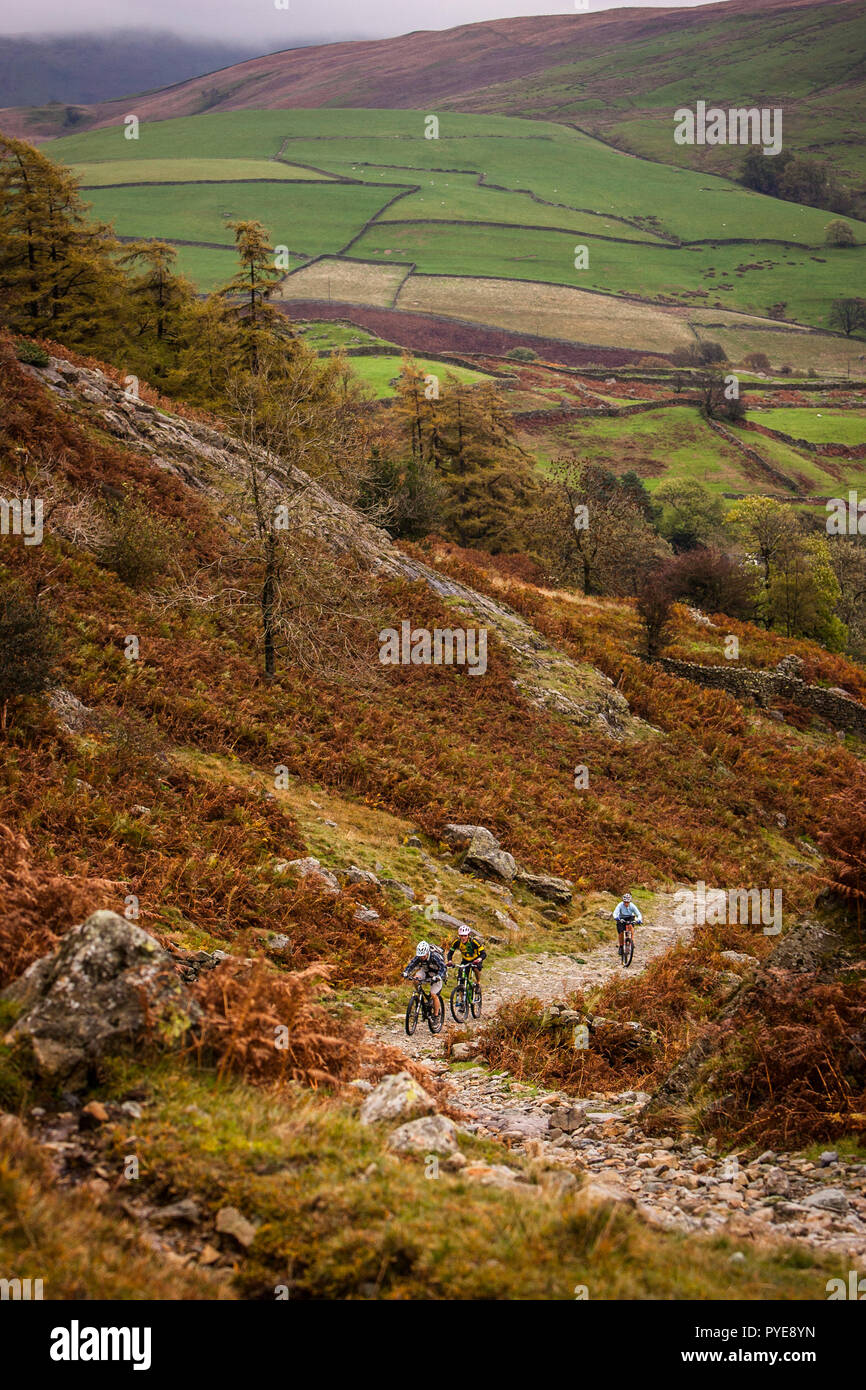 Mountain bikers on a rocky trail with autumn ferns Stock Photo - Alamy