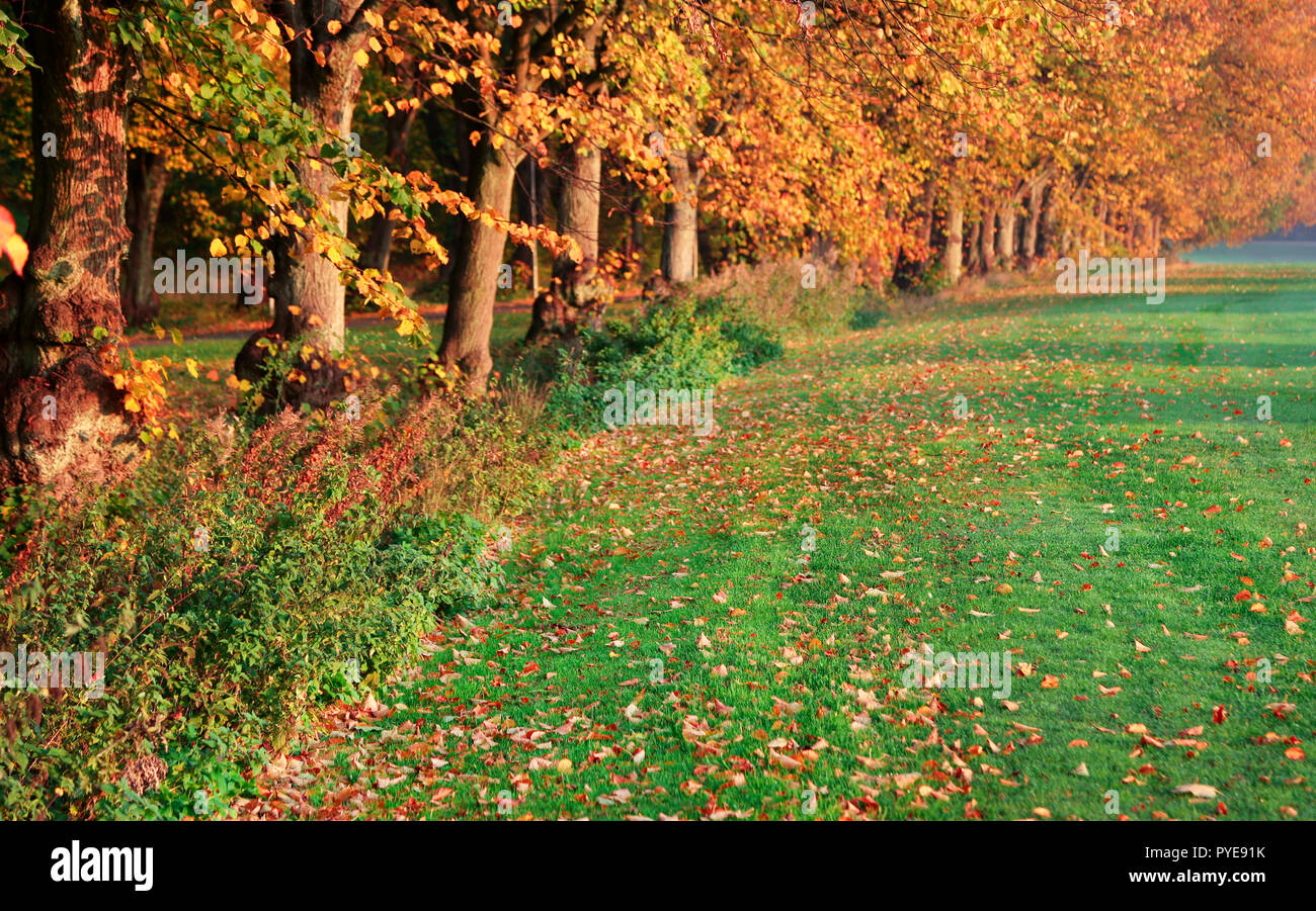 Natural color combination hi-res stock photography and images - Alamy