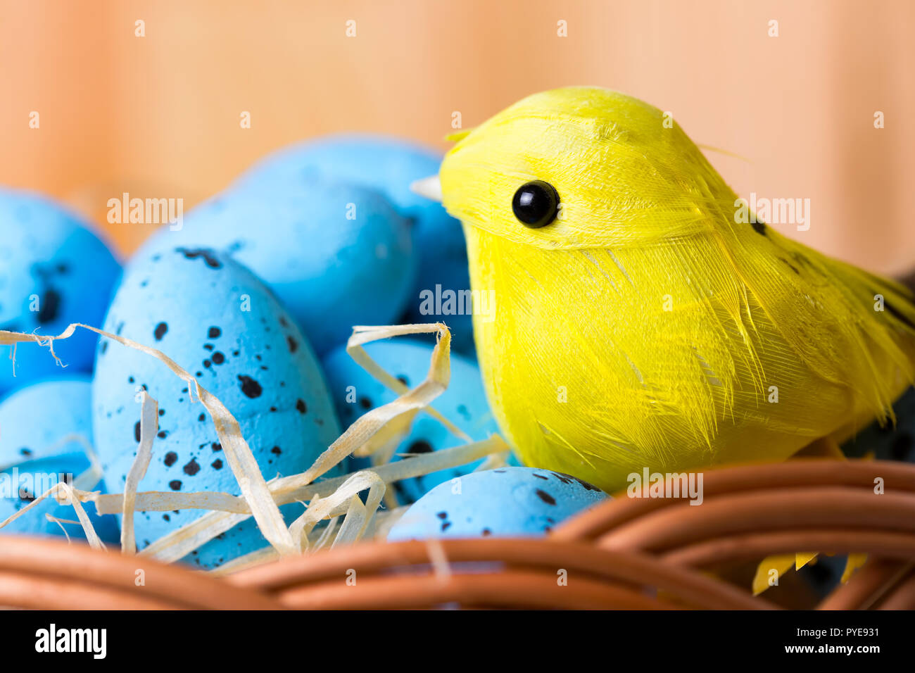 Spring yellow bird with blue eggs in natural wicker basket Stock Photo ...