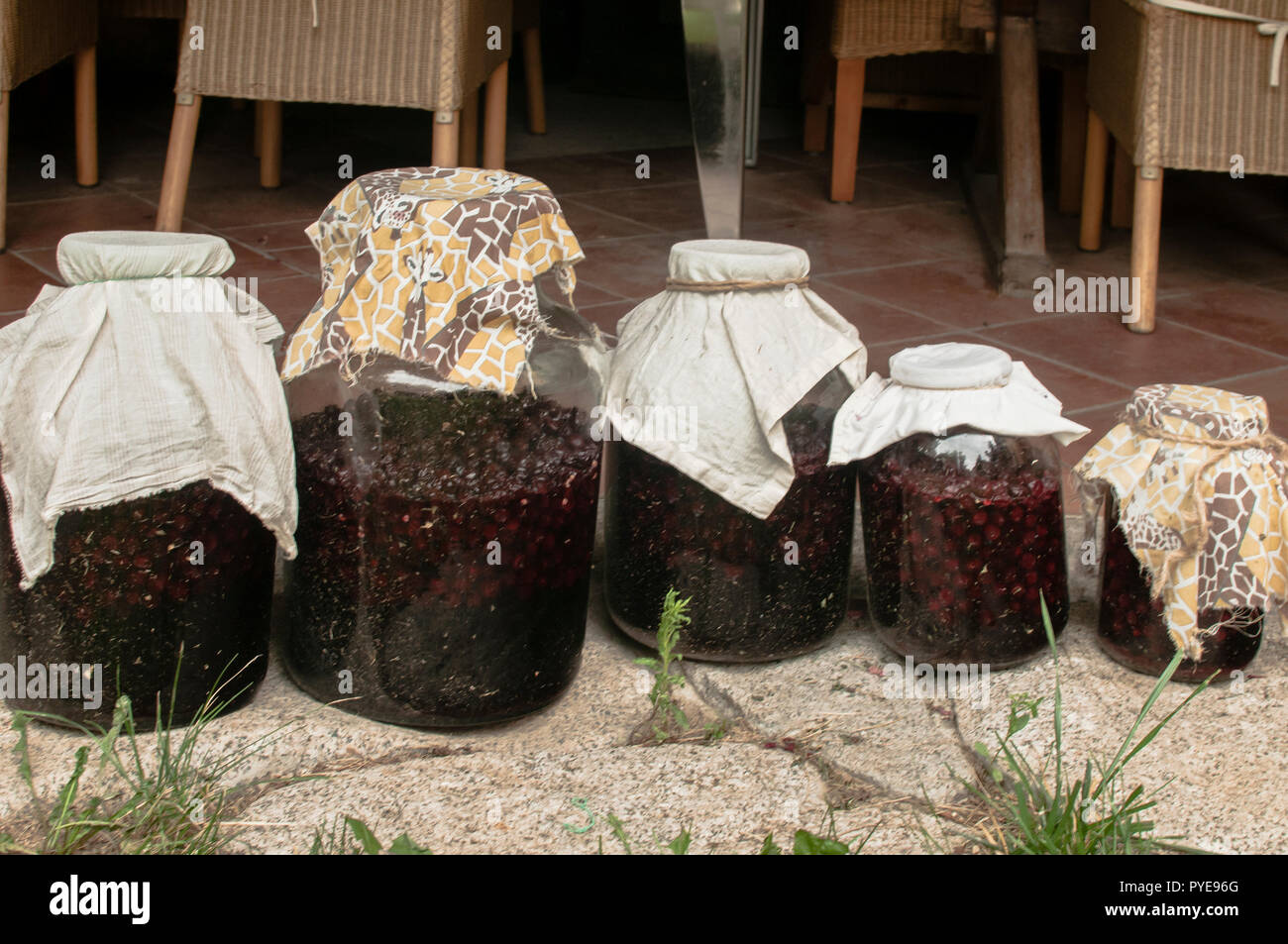 Alcohol fermentation hi-res stock photography and images - Alamy