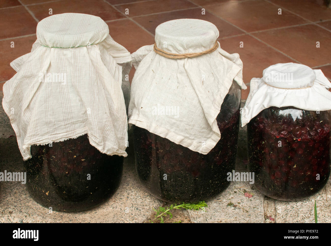 Alcohol fermentation hi-res stock photography and images - Alamy