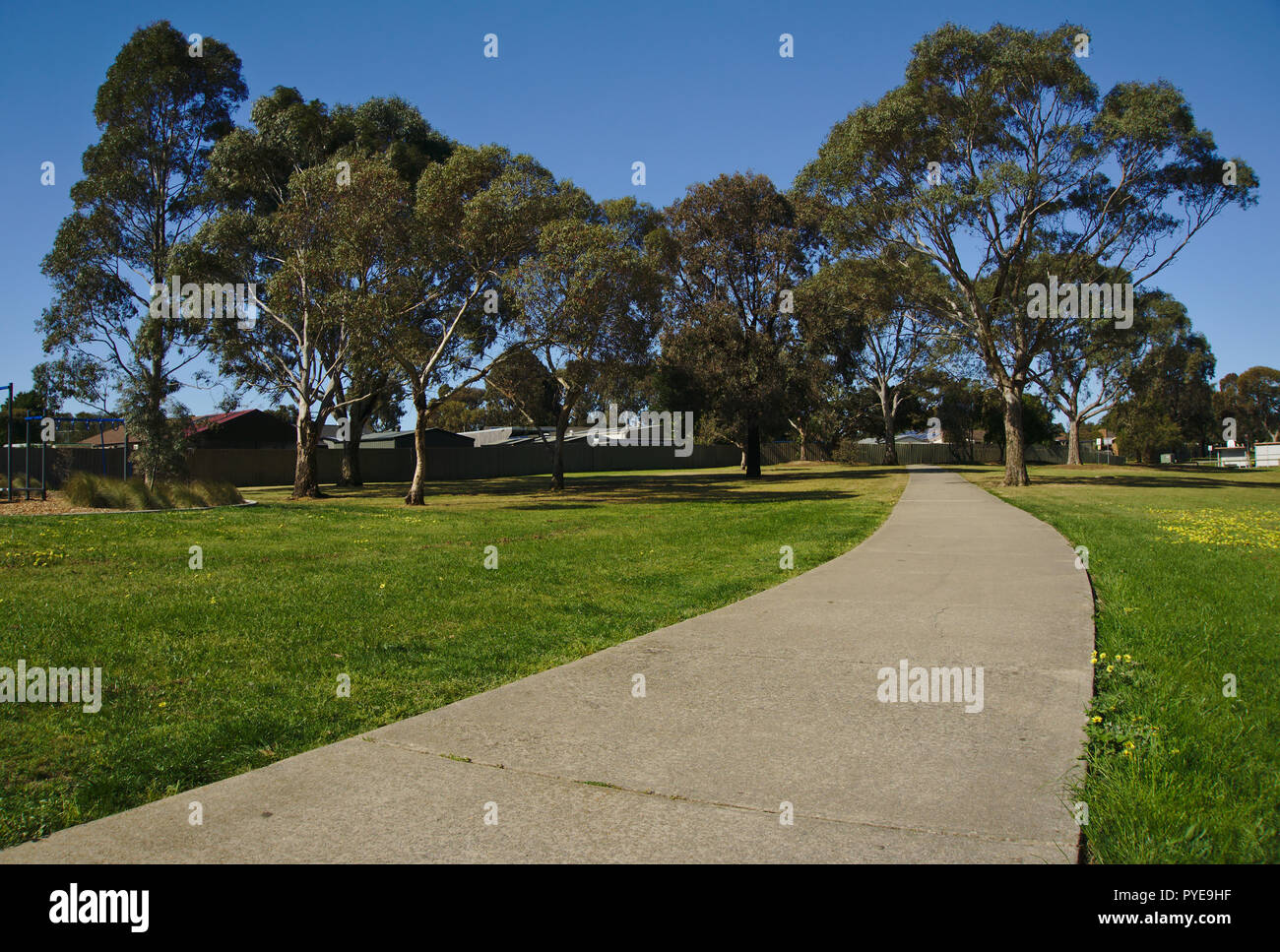 Clean footpath in public park with green grass, trees and blue sky ...