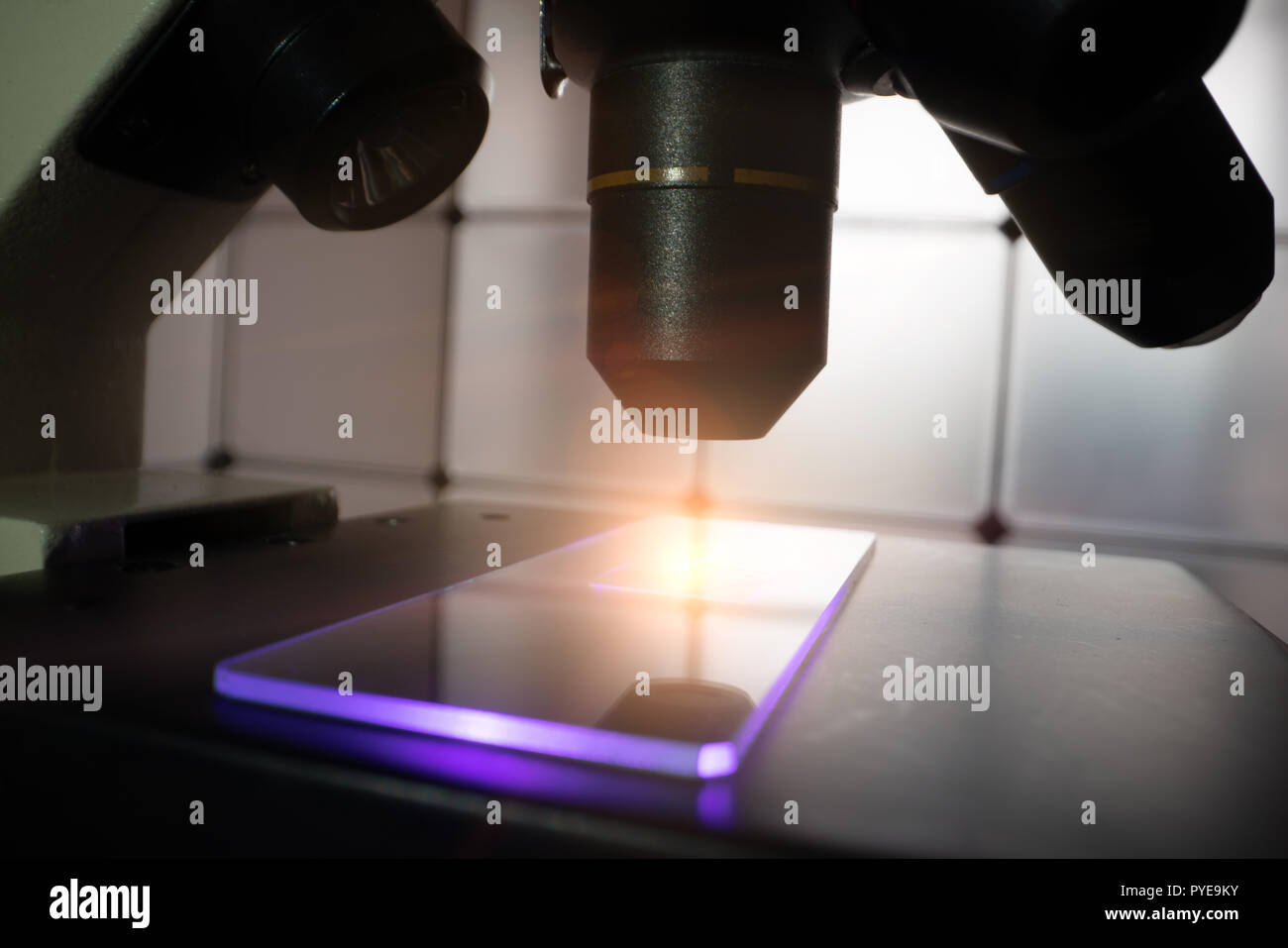 Close up microscope objective and slide Stock Photo - Alamy