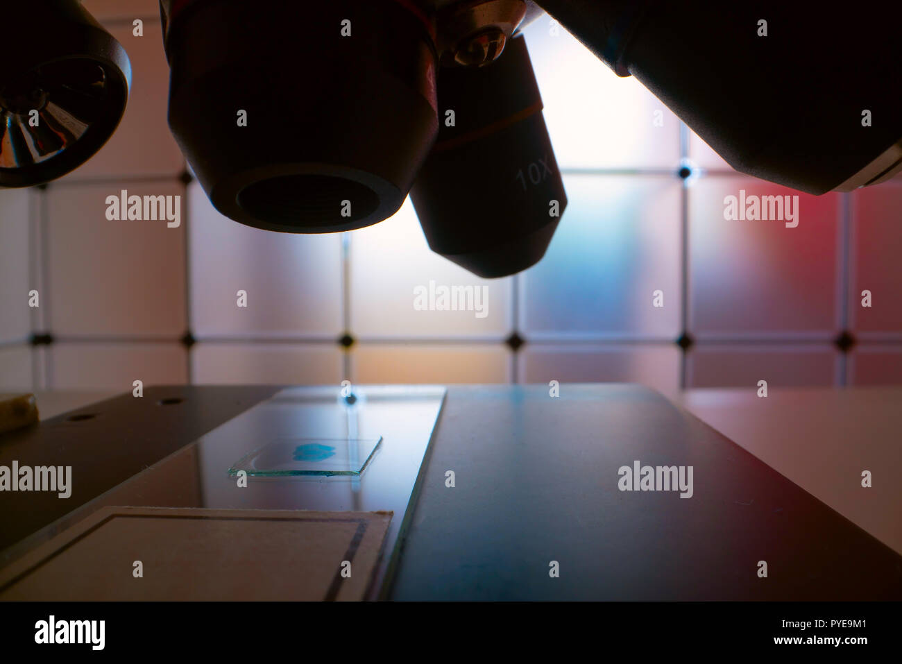 Close up microscope objective and slide Stock Photo - Alamy