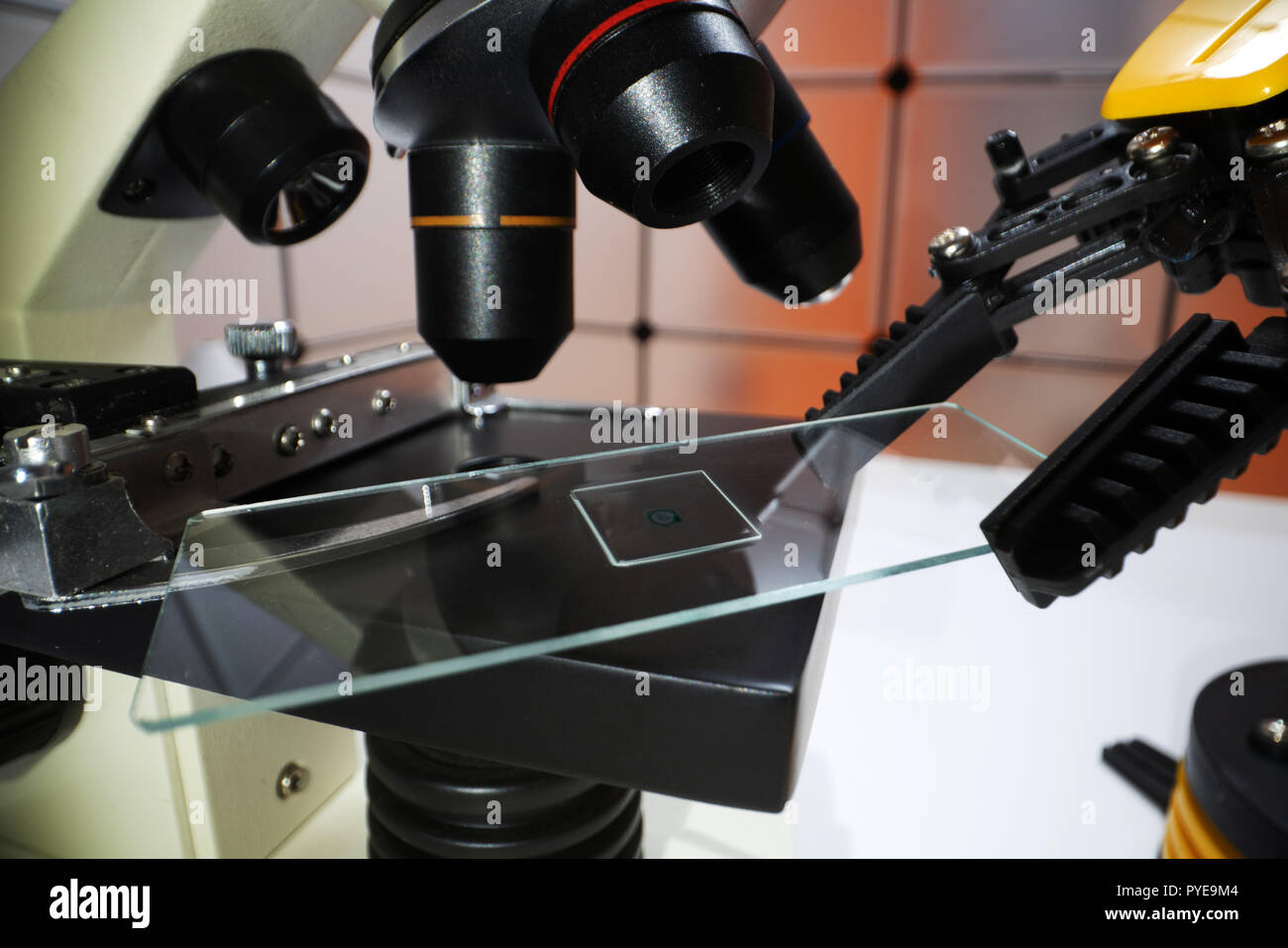 Microscope slide in robot arm and science microscope Stock Photo - Alamy