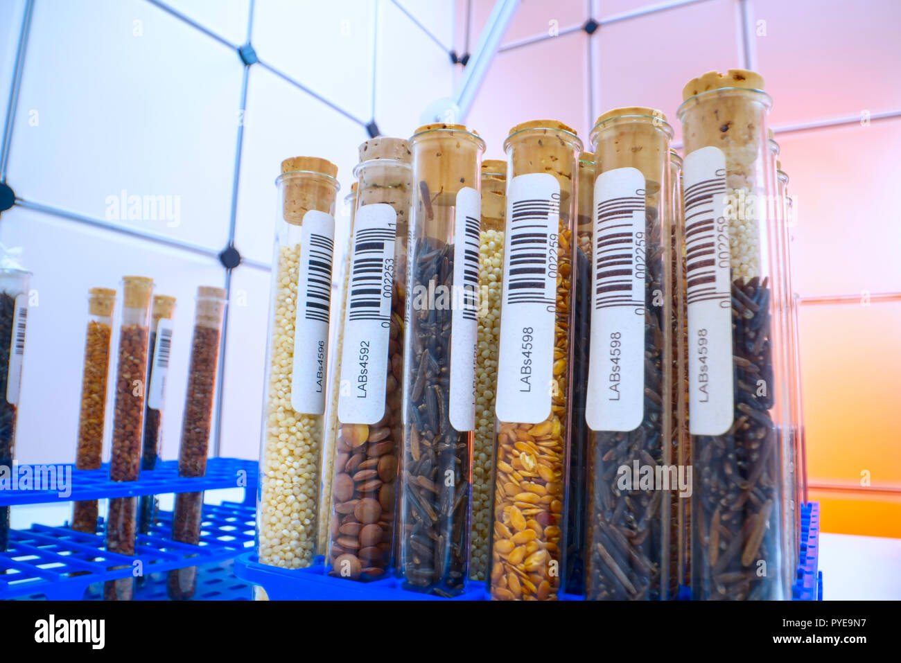 Tissue bank hi-res stock photography and images - Alamy