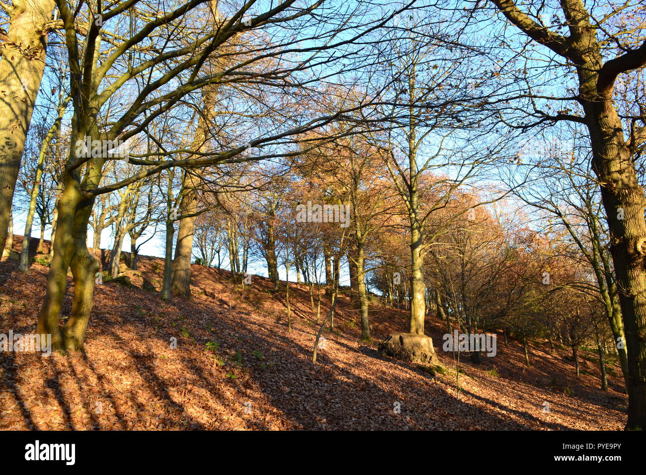 Crisp Winters Day London High Resolution Stock Photography and Images ...