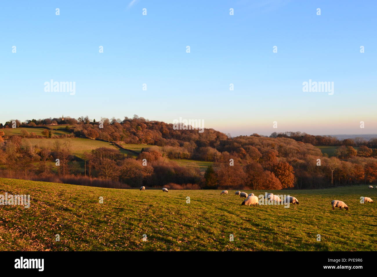 A crisp winter's day at Ide Hill and Scords wood, Kent, England, UK ...