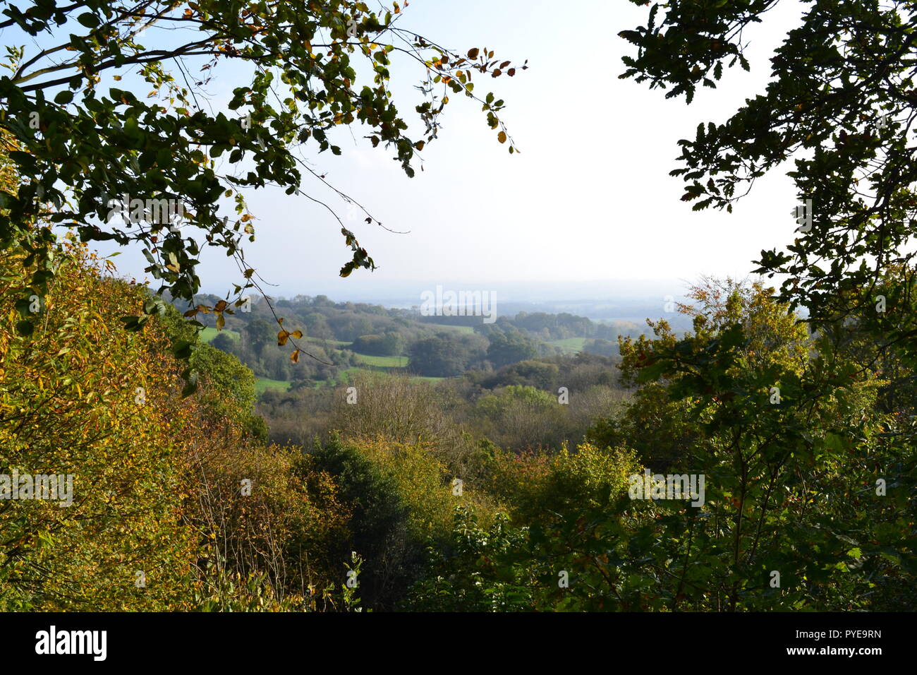 All points east london hi-res stock photography and images - Alamy