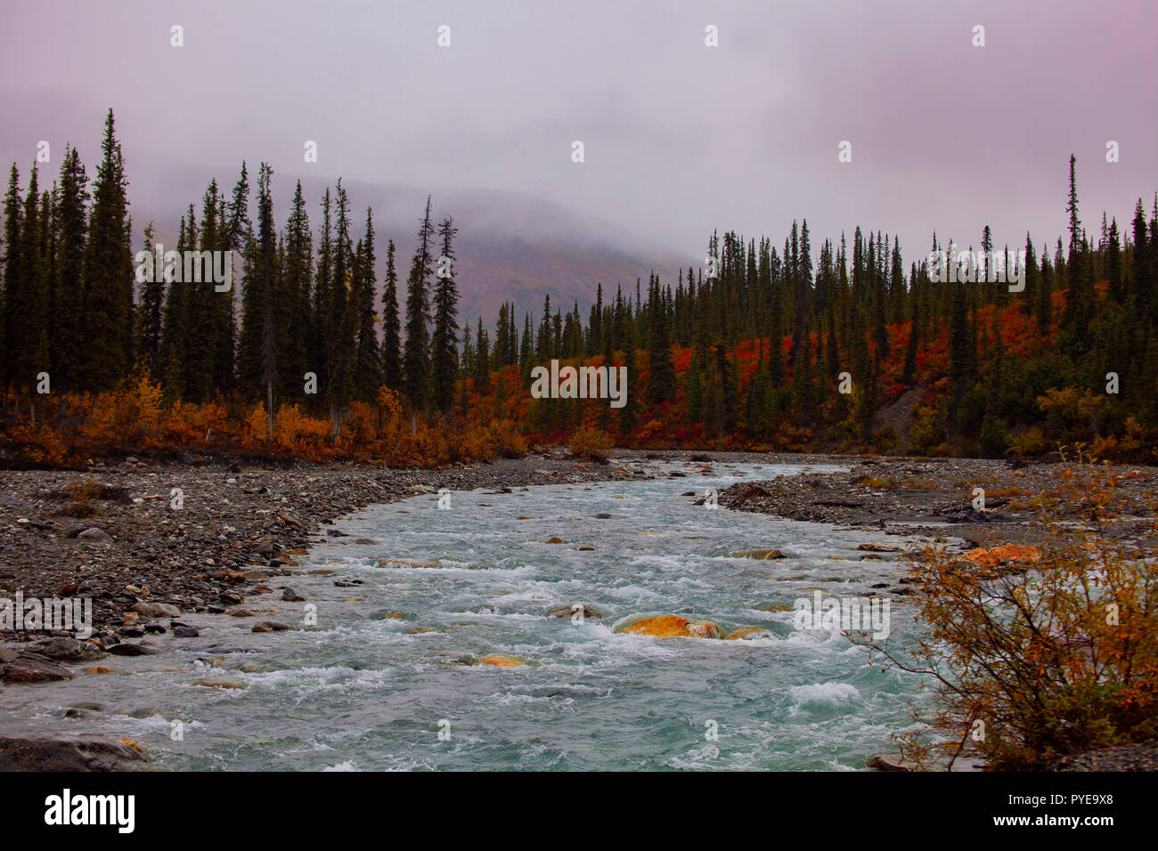Gates of the arctic national park hi-res stock photography and images ...