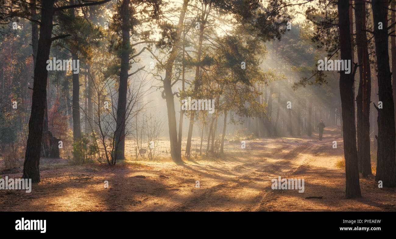 Coldly hi-res stock photography and images - Alamy