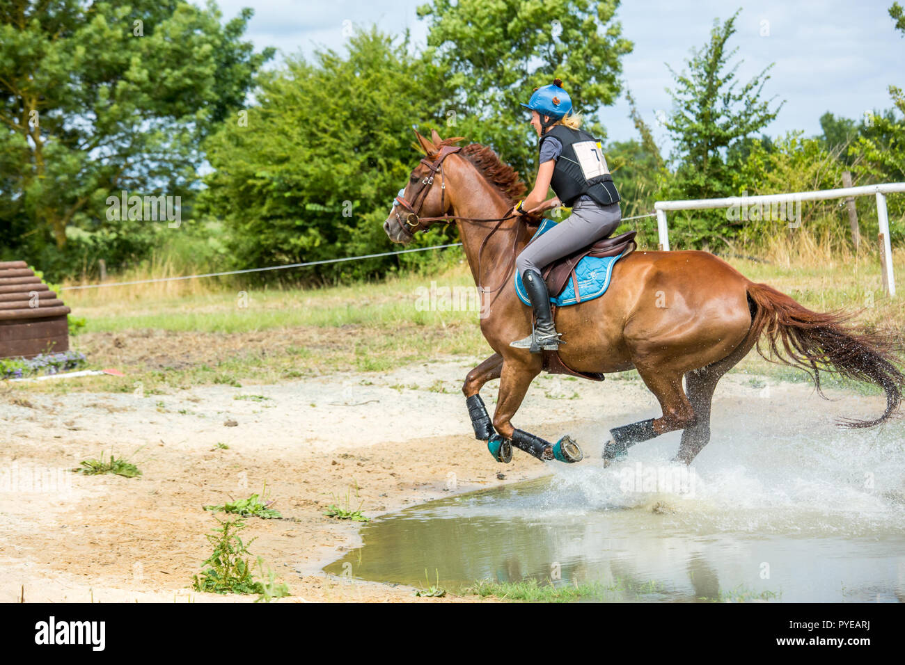 Horse rider crossing water equestrian hi-res stock photography and ...