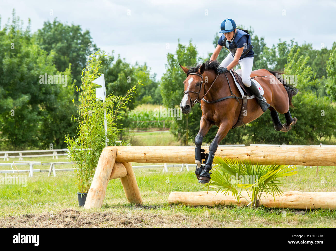 Saint Cyr du Doret, France - July 29, 2016: Woman riding horse over ...