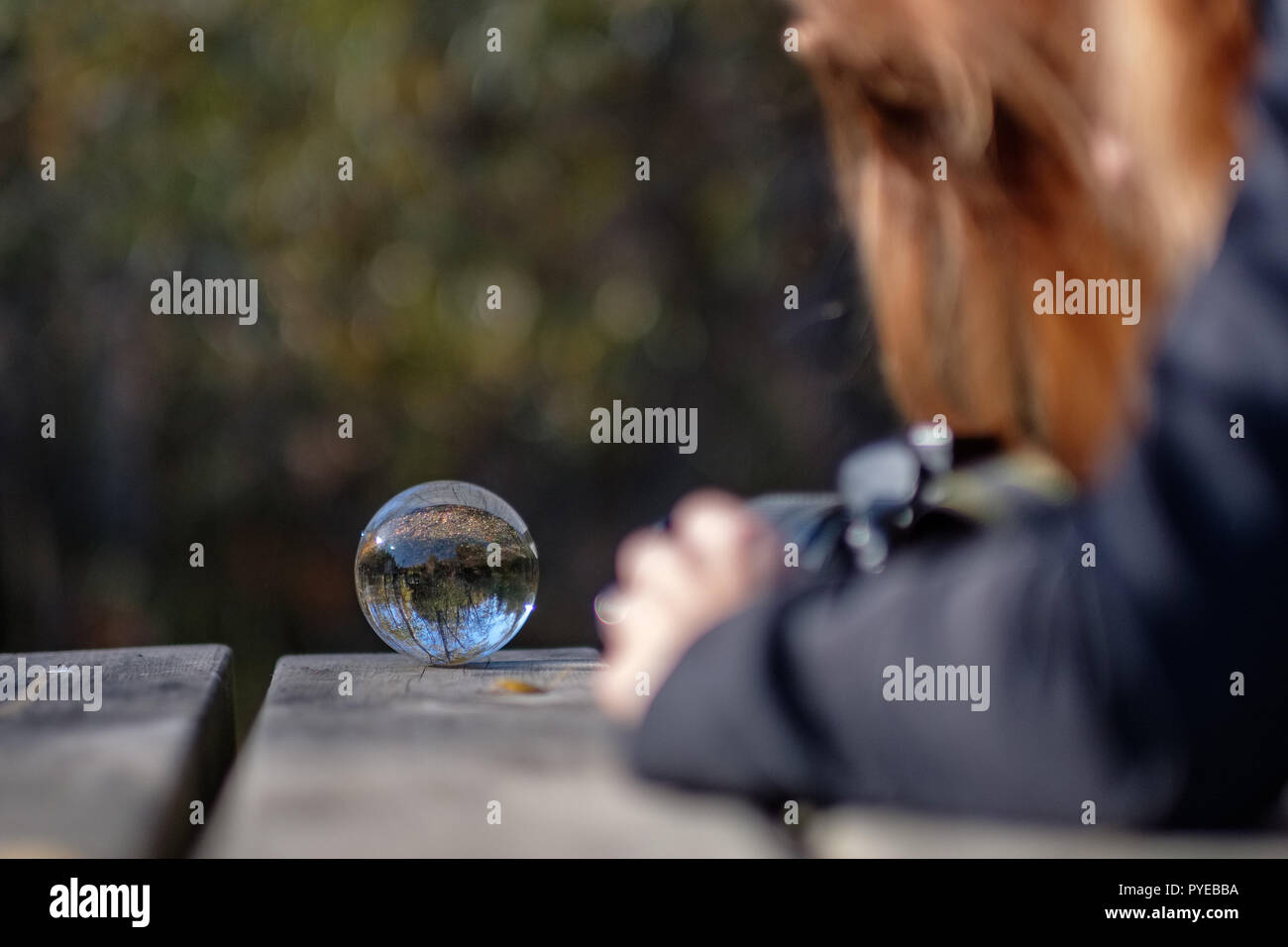 lensball in autumn reflecting nature around it. fall colors hold in ...