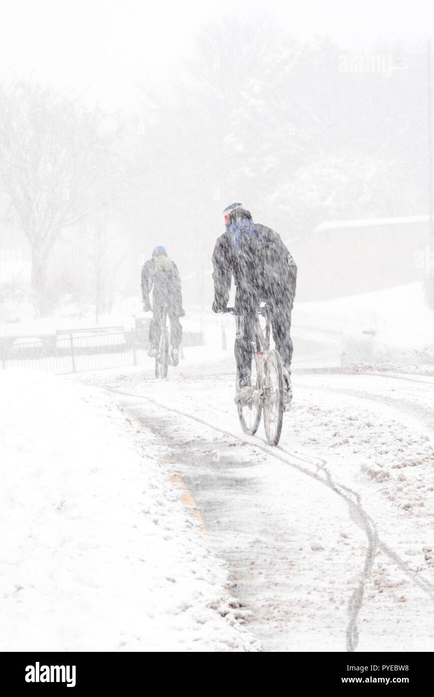 Two men cycling along a road through a snow storm in Consett, County ...