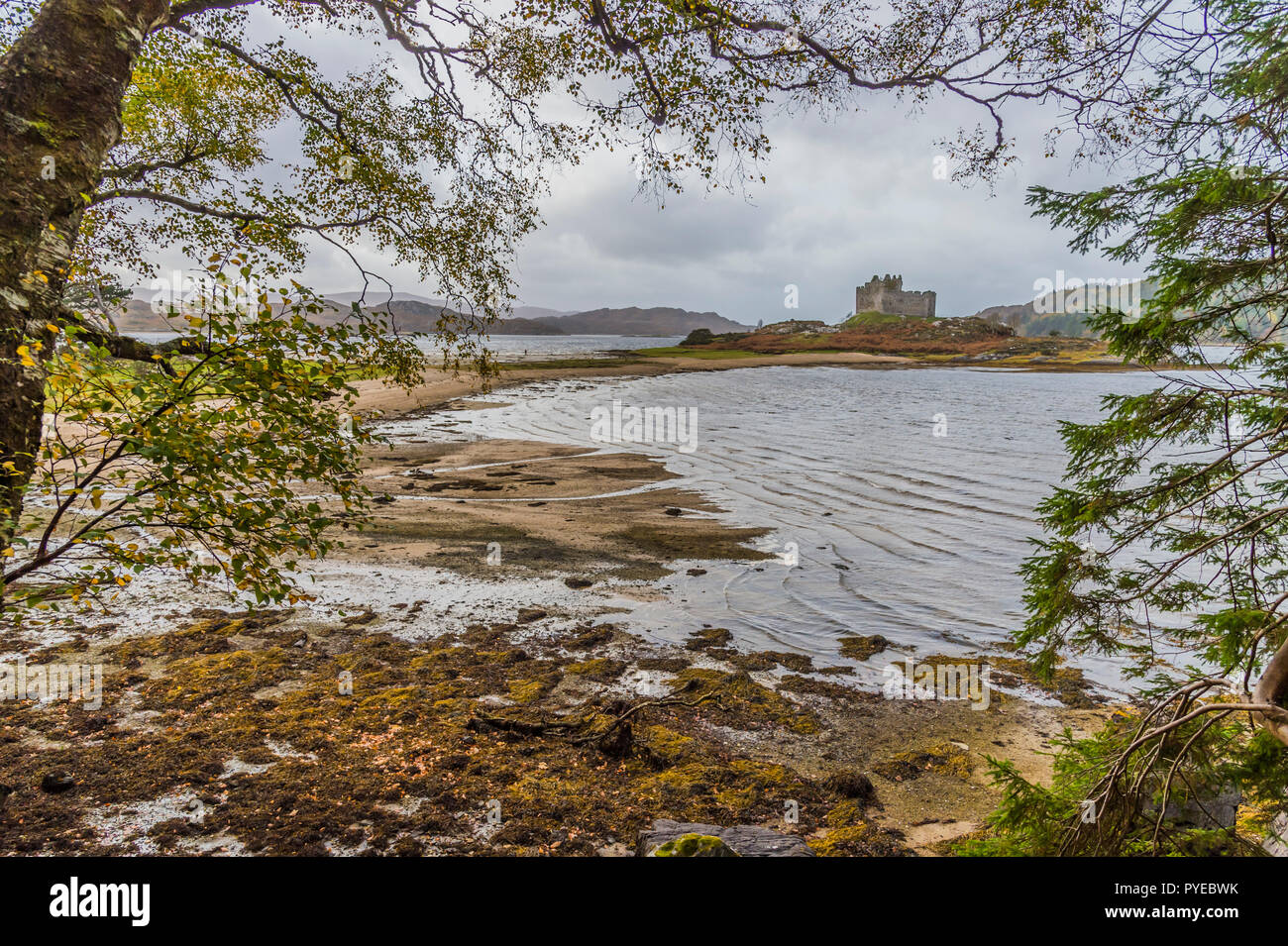The ruins of Clan MacDonalds 13th century Castle Tioram on the shores ...