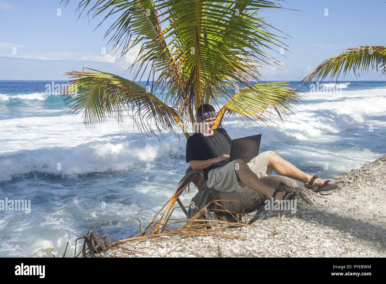 Man working on the beach. Attractive man with laptop seated in a palm ...