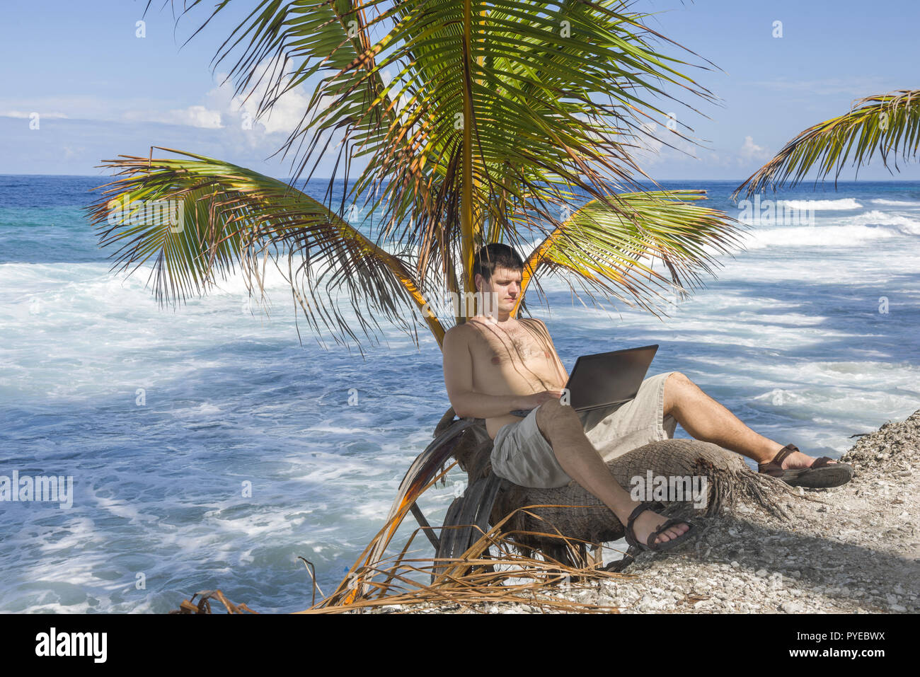 Man working on the beach. Attractive man with laptop seated in a palm ...