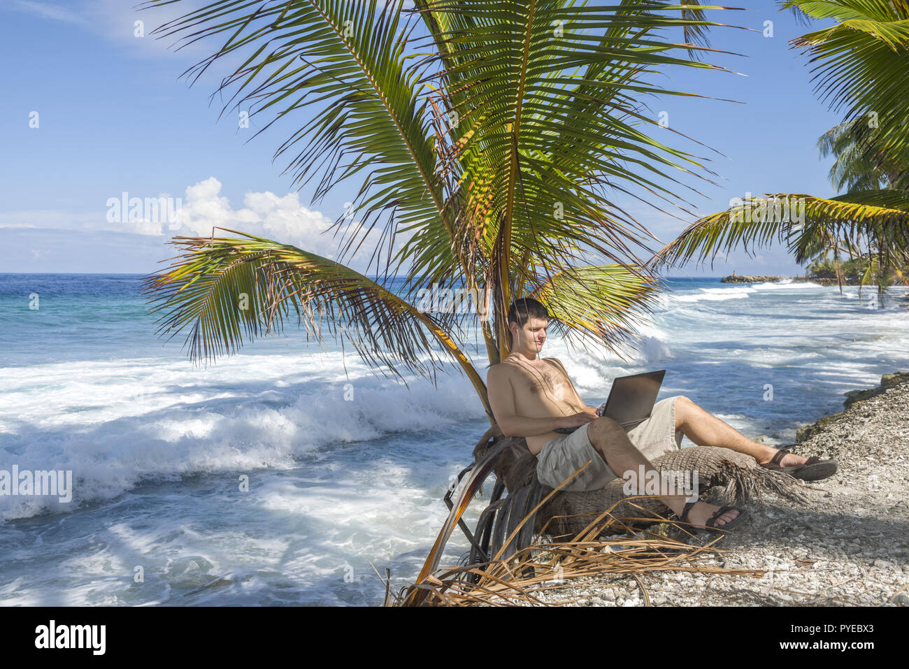 Man working on the beach. Attractive man with laptop seated in a palm ...