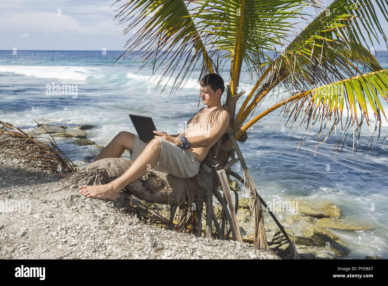 Man working on the beach. Attractive man with laptop seated in a palm ...