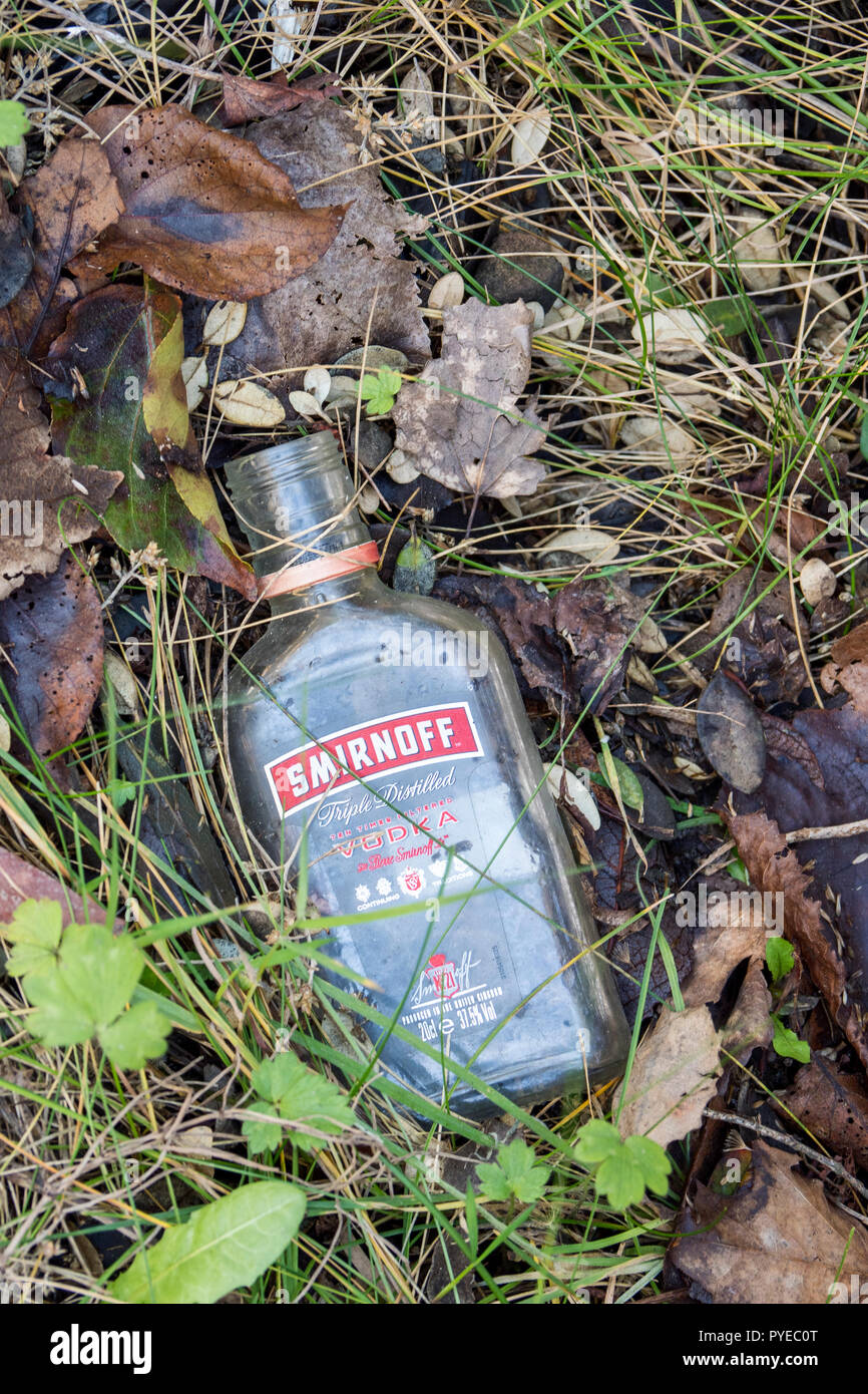 Discarded empty glass vodka bottle littering the roadside in grass and ...