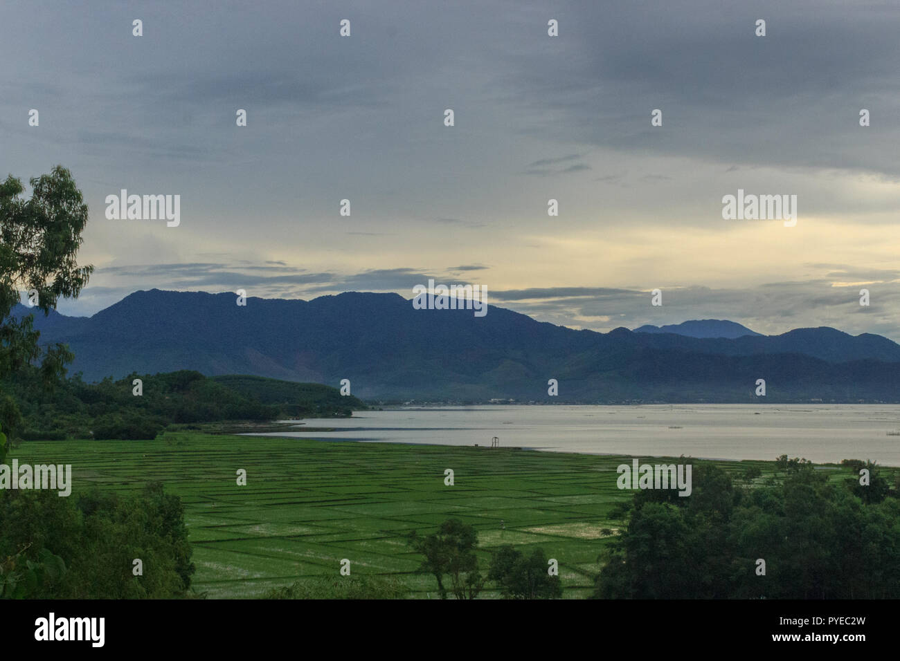 Rice water management hi-res stock photography and images - Alamy
