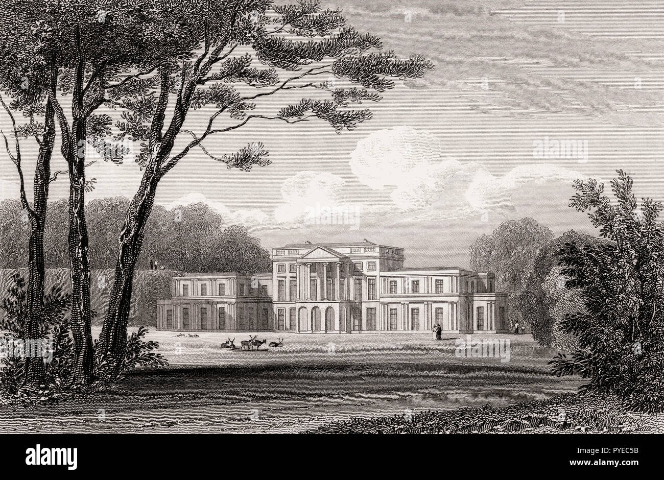 The Haining, Selkirk, Scotland, 19th century, from Modern Athens by Th ...