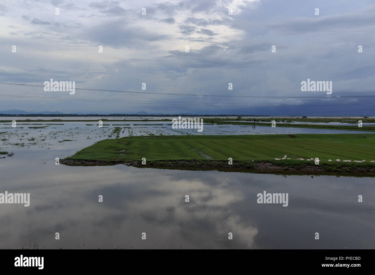 Tropical landscape rice fields sea hi-res stock photography and images ...