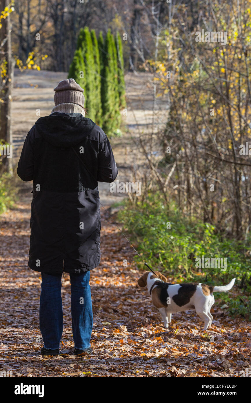 Rear view of woman in green forest hi-res stock photography and images ...