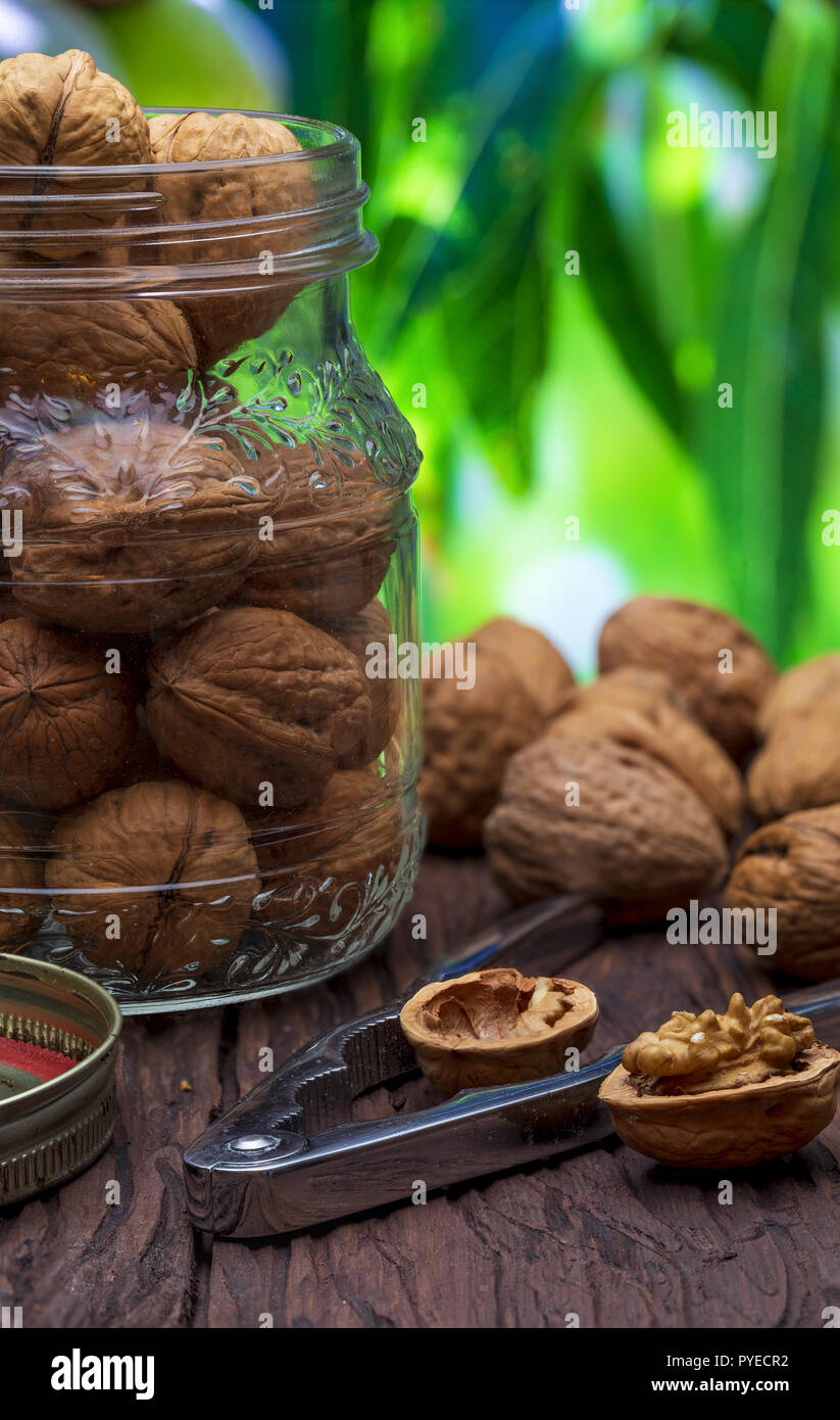 Walnuts in glass jar, with splitter and nut. Background in green tones ...