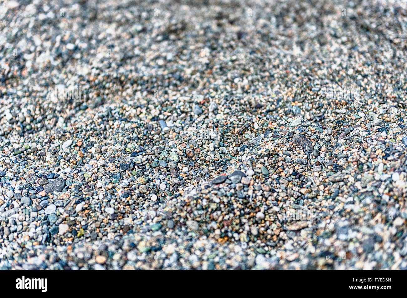 Top view of detailed sand texture on a sandy beach, may be used as ...