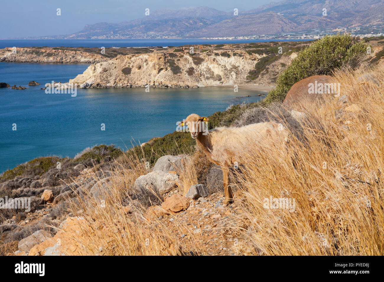 Crete greece landscape hi-res stock photography and images - Alamy