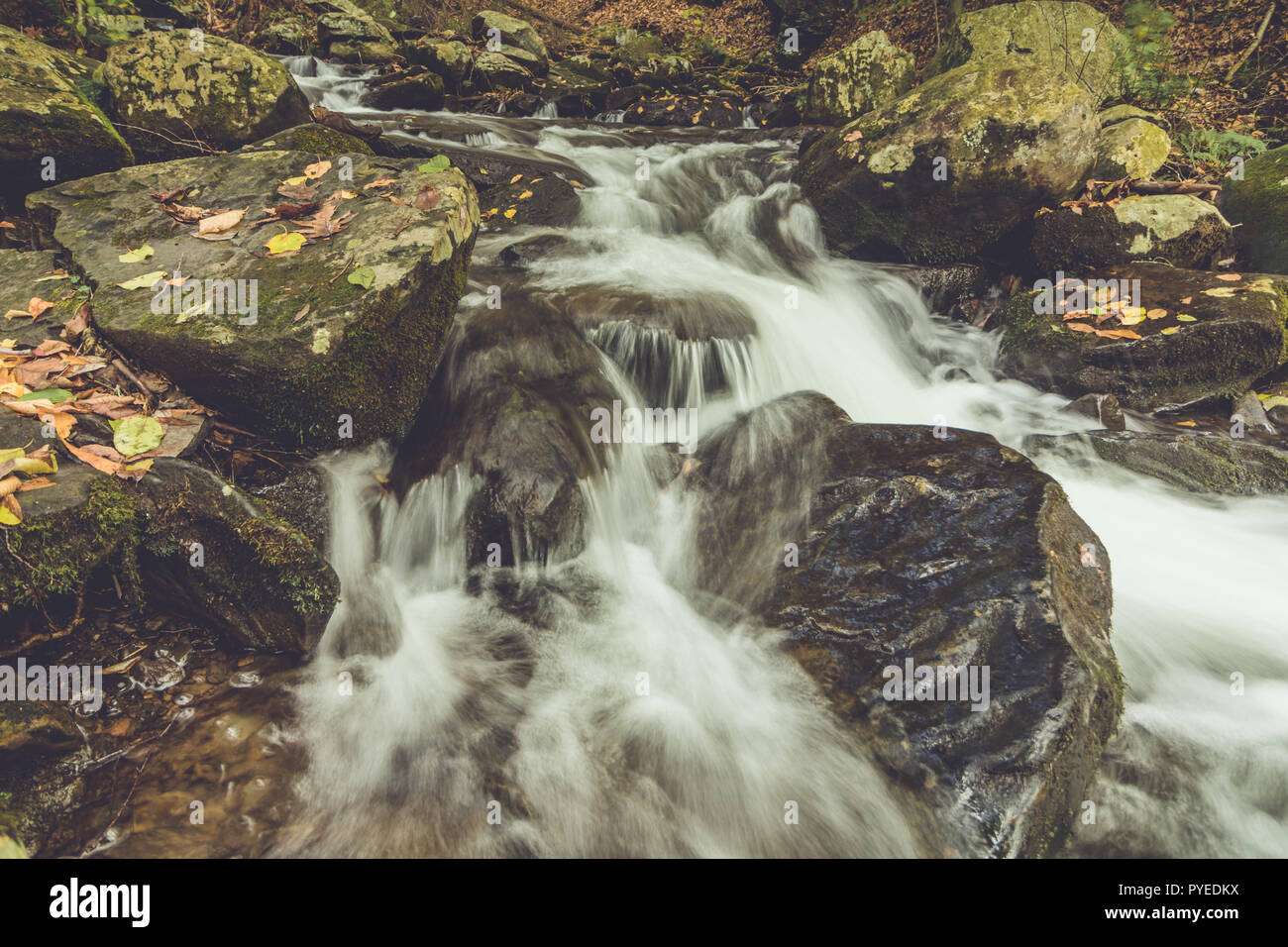 Bushkill Falls in Poconos, PA, surrounded by lush fall foliage Stock ...