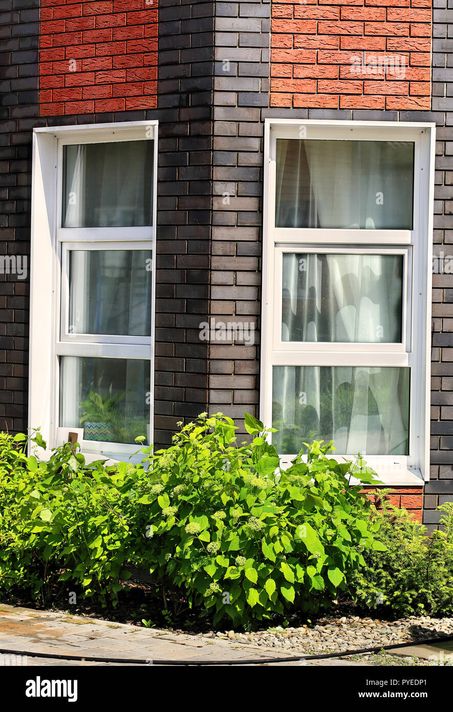Decorative bush in front of the brick wall of the cottage Stock Photo ...