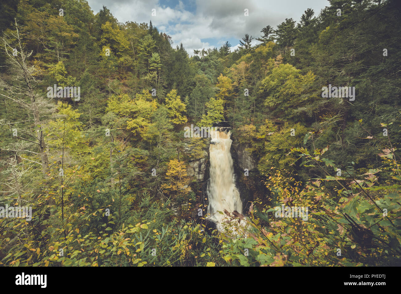 Top view of Main Falls at Bushkill Falls in Poconos, PA, surrounded by ...