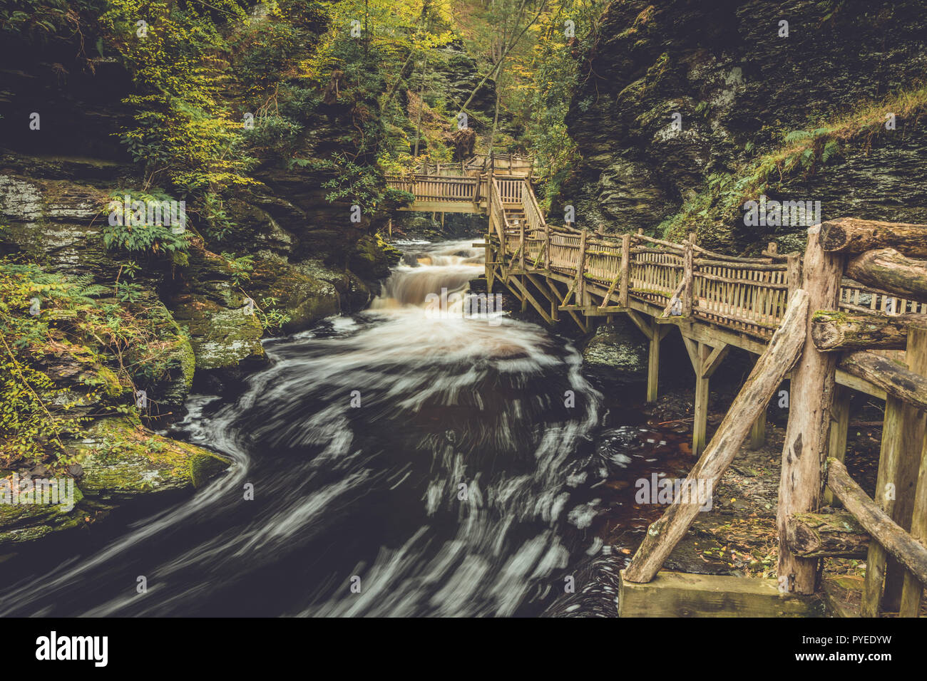 Pedestrian bridge curves around the gorges of Bushkill Falls in Poconos ...