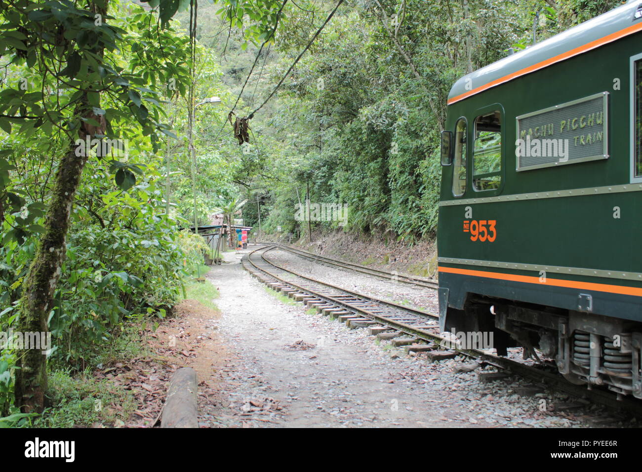 Jungle railway hi-res stock photography and images - Alamy